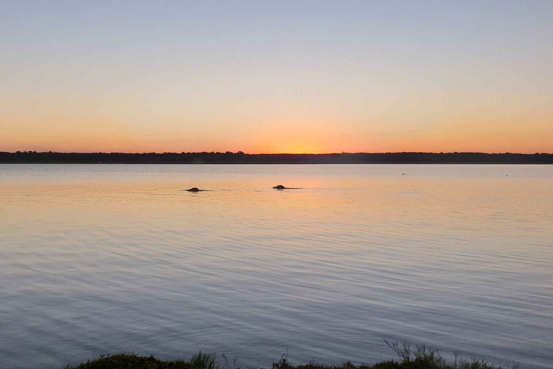 The journey to Green Steps Travel - Kosi Forest Lodge