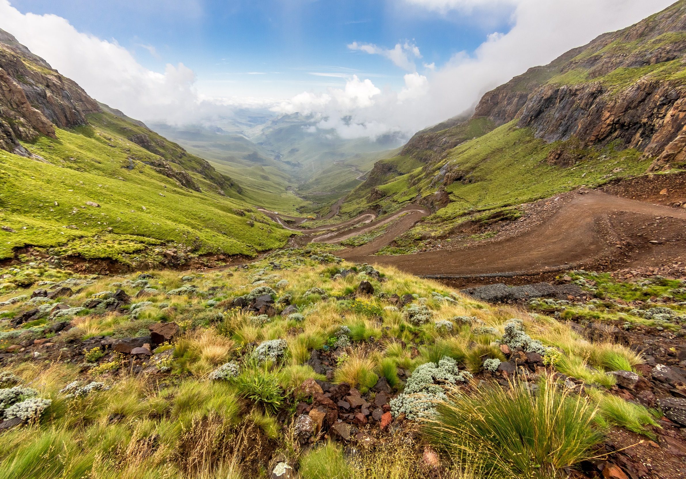 Ecotourism South Africa | Our Story | Kosi Forest Lodge